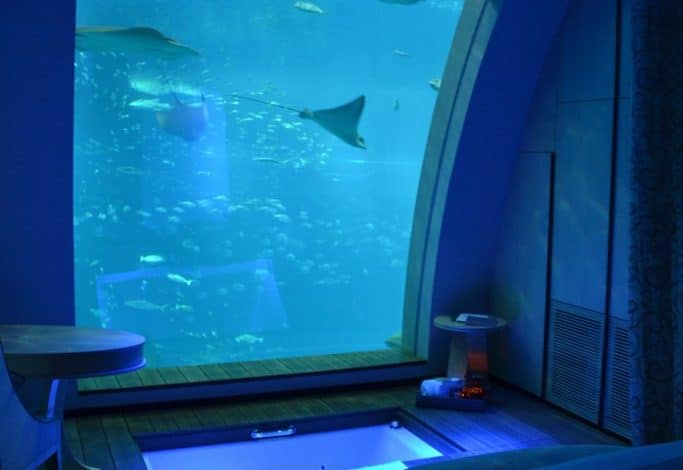 Sleeping With The Fishes: Australian Hotel With Underwater Rooms Opens