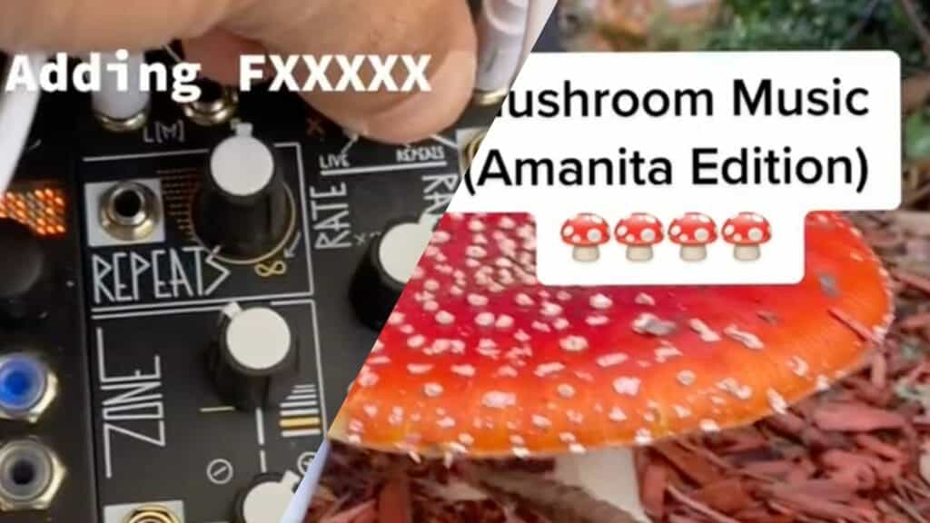 Ever Wondered What A Mushroom Sounds Like? Welcome To 'Mushroom Music'