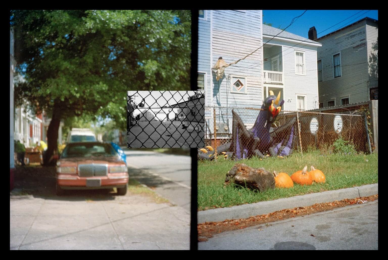 Photos From a Dark Room in a Digital Age