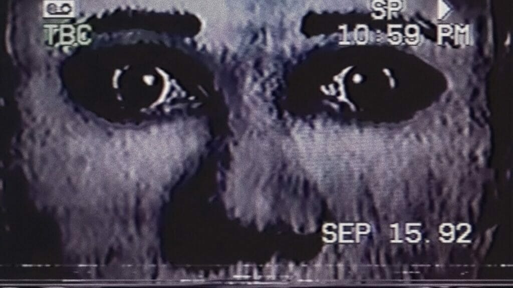 They're Right Behind You: The Advent of Analog Horror - Trill Mag