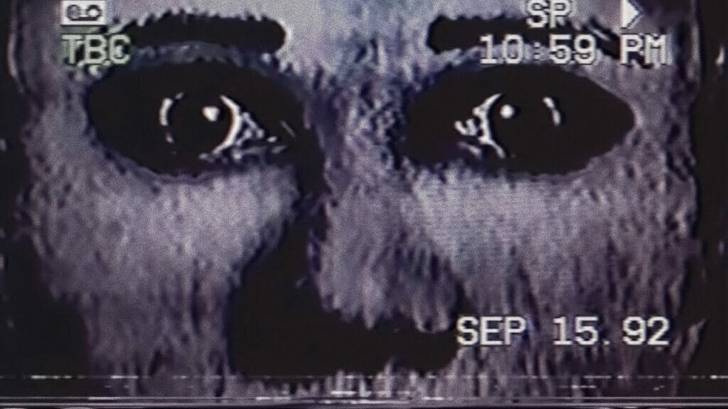 Theyre Right Behind You The Advent Of Analog Horror Trill Mag
