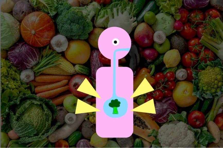 Why I Went Vegan (and Tips for You)