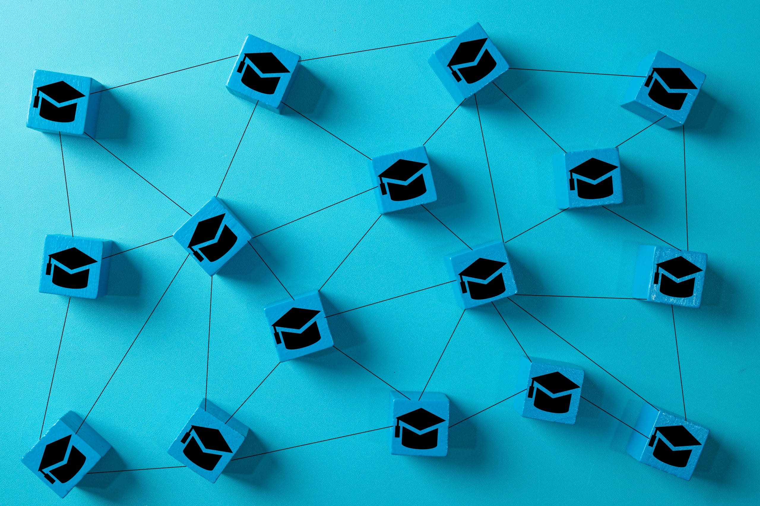 Networking vs Studying: What Actually Matters More for Your Career?